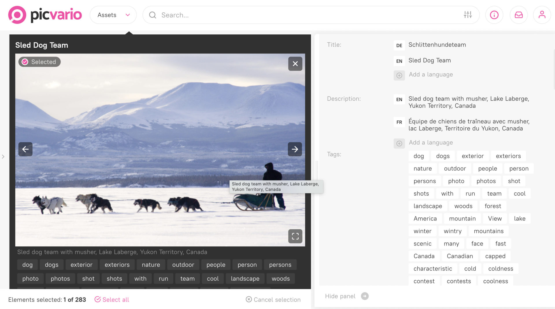 Why everyone needs DAM: 5 possibilities of content management systems | Picvario