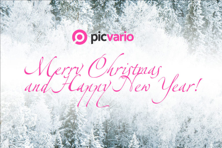 Results for 2022 and our holiday working schedule | Picvario