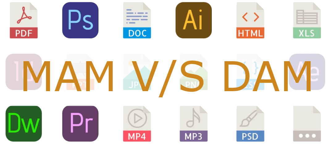 What is the Difference Between DAM vs MAM System? - Picvario