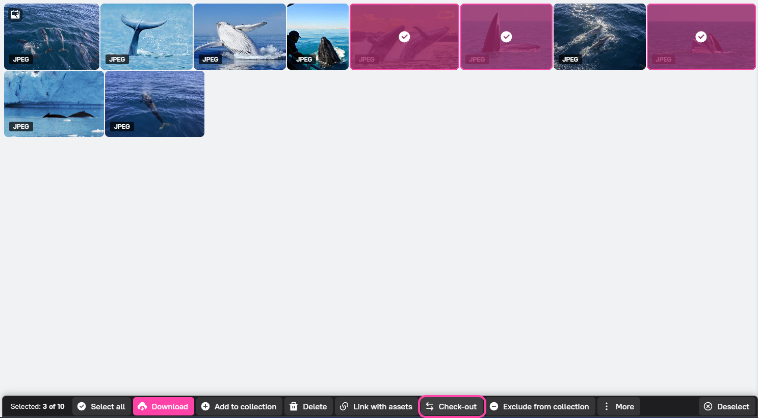 Check-in/Check-out | Picvario