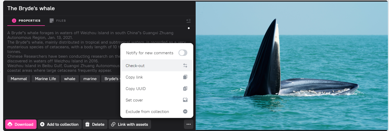 Check-in/Check-out | Picvario