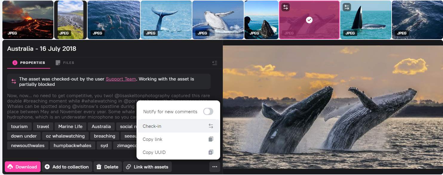 Check-in/Check-out | Picvario
